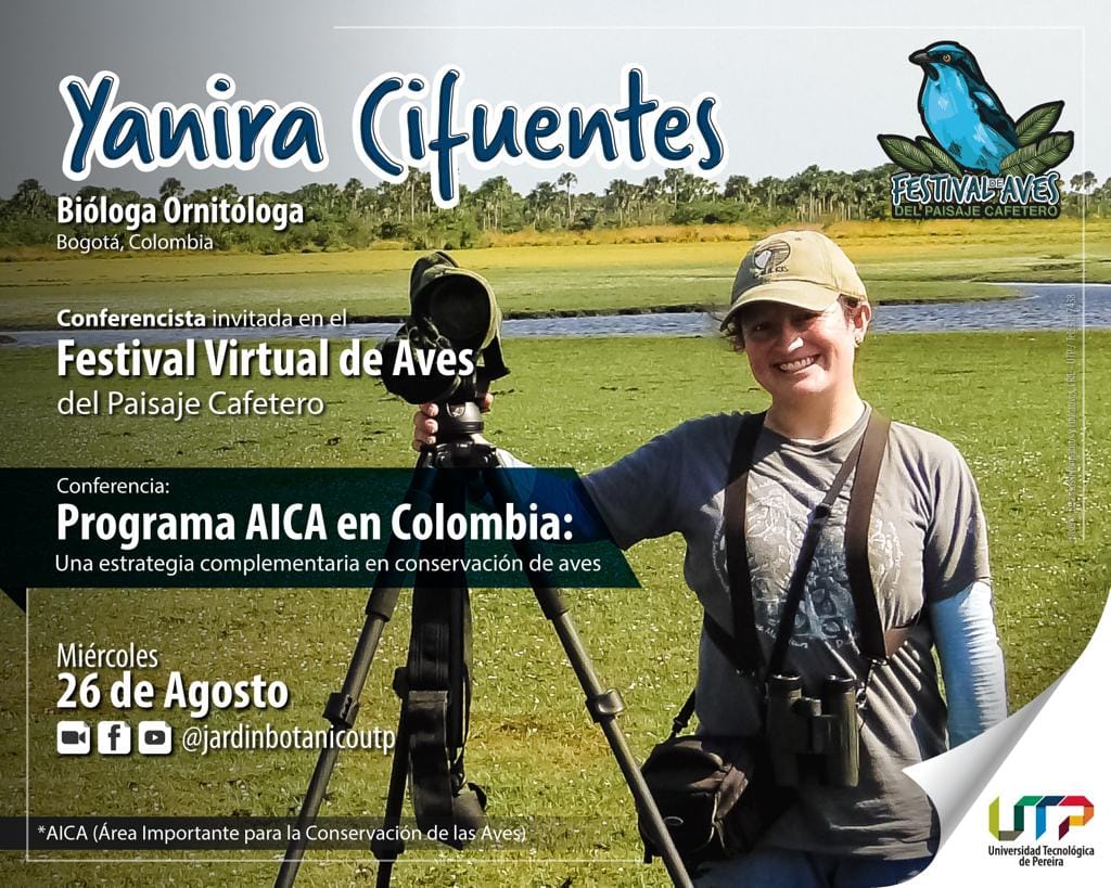 » Memorias Festival 2020